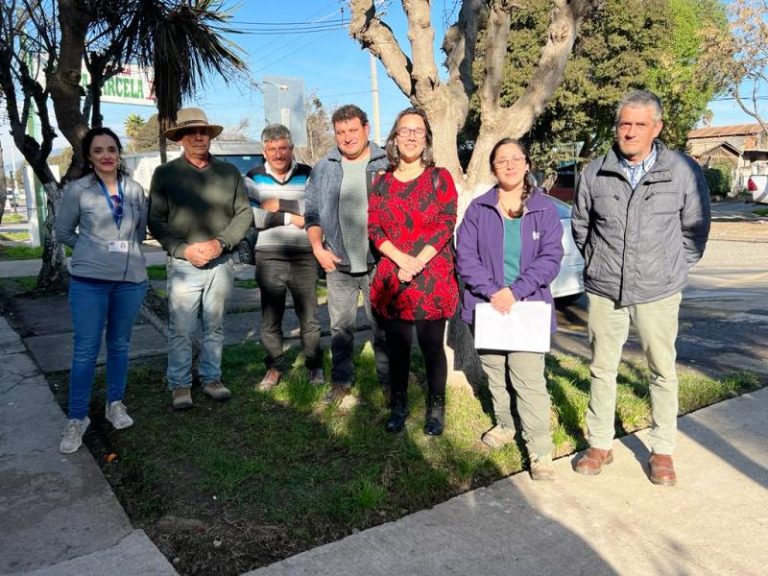 Delegada Sandra Saavedra hace entrega de sacos de alfalfa a productores ...